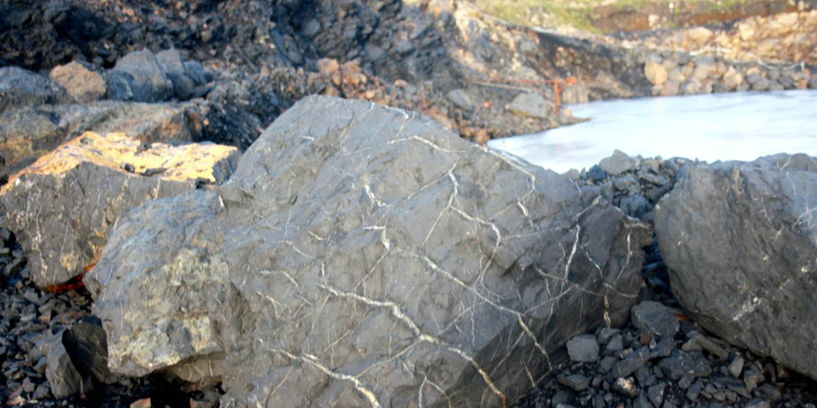 Shungite: Fullerenes for Water - Dancing with Water
